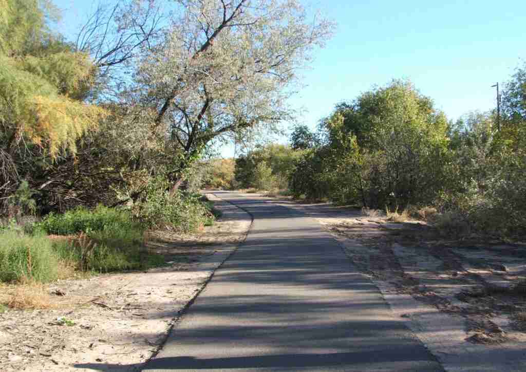 Discover the 5 Best Things to do in Albuquerque