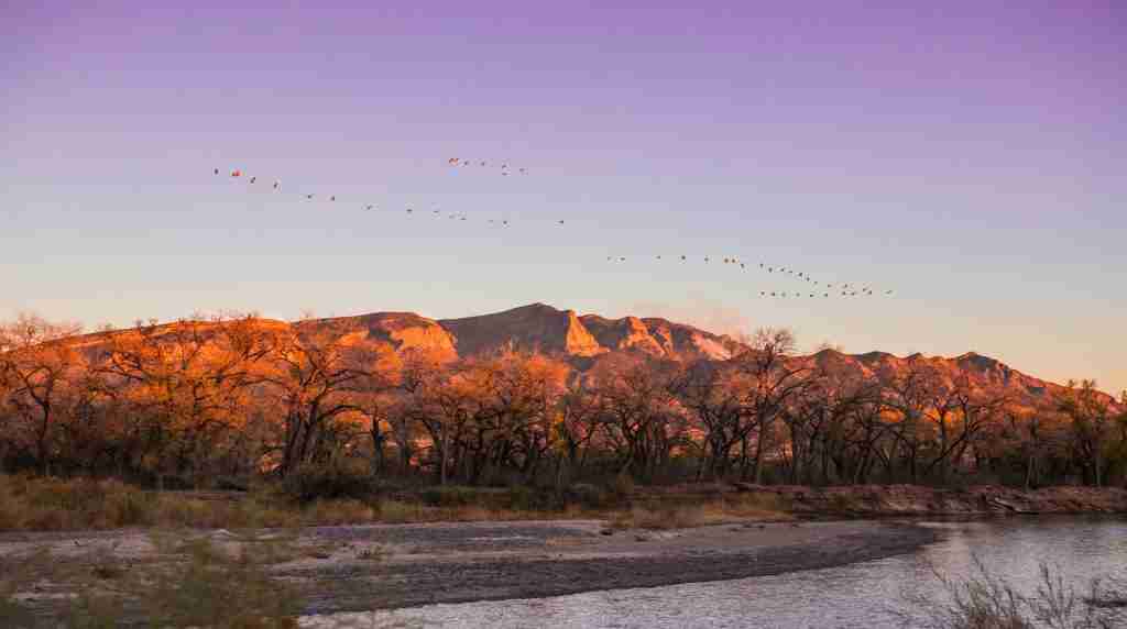 Best Things to Do in Albuquerque in Fall & Winter